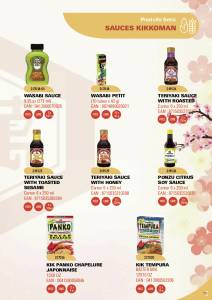 Essor Import-CATALOGUE PRODUIT 2024 - flippad - Kiosque